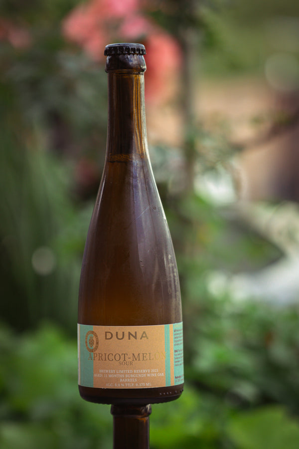 Melon/Apricot Sour – DUNA Brewery